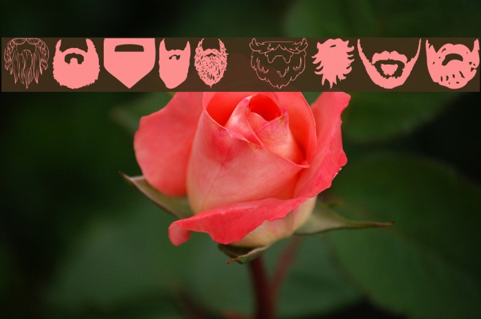 Beard Font - FFonts.net