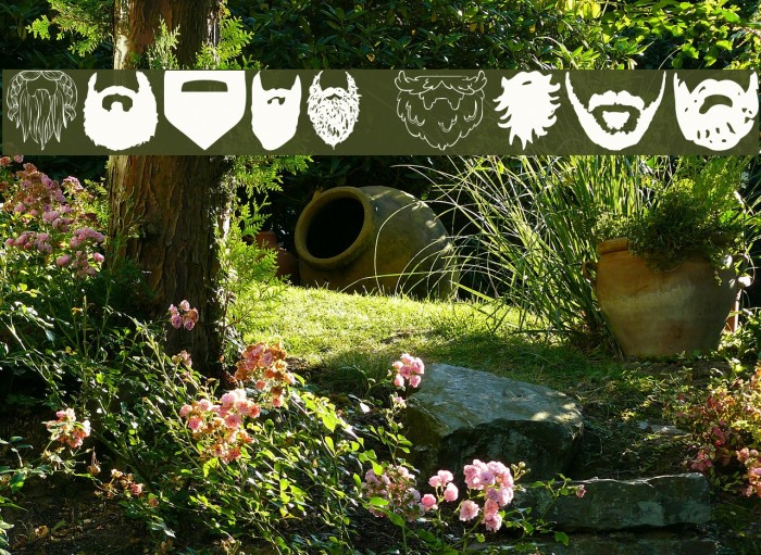Beard Font - FFonts.net