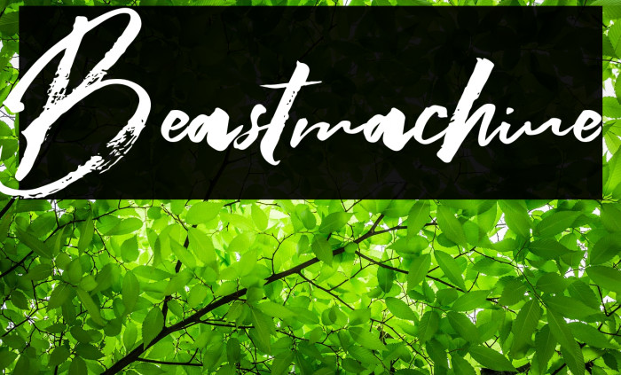 Beastmachine Font - FFonts.net