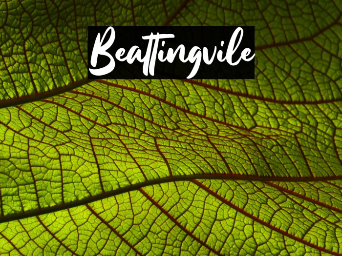 Beattingvile Font - FFonts.net