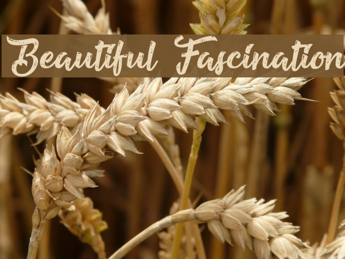 Beautiful Fascination Font - FFonts.net