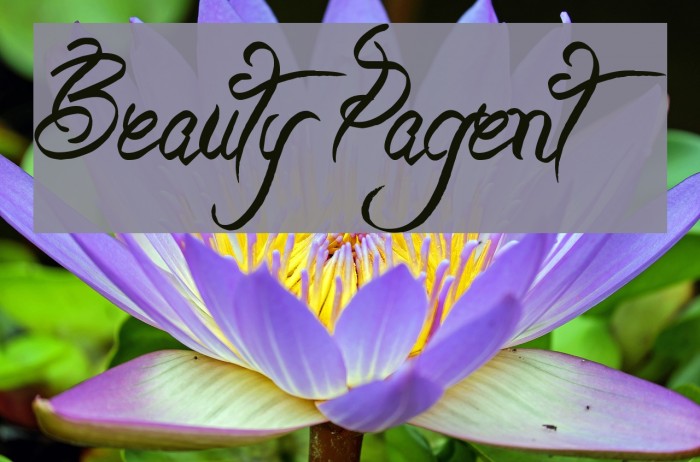 Beauty Pagent Font - FFonts.net