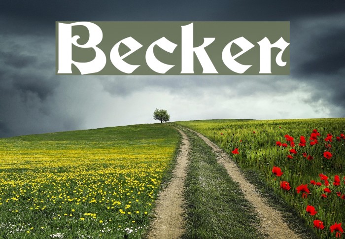 Becker Font - FFonts.net