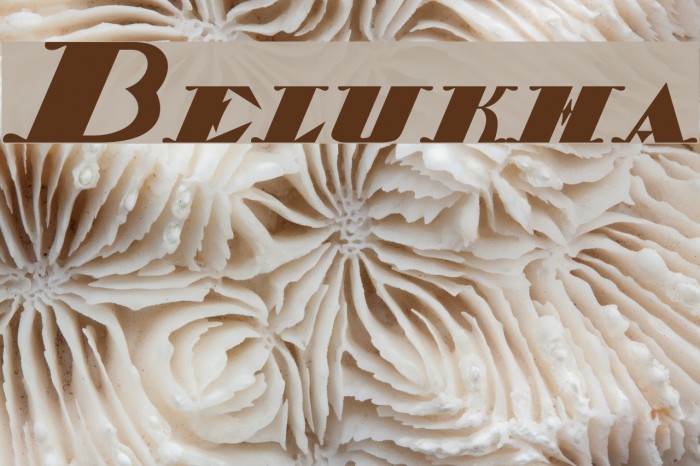 Belukha Font - FFonts.net