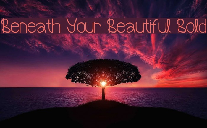 Beneath Your Beautiful Bold Font - FFonts.net
