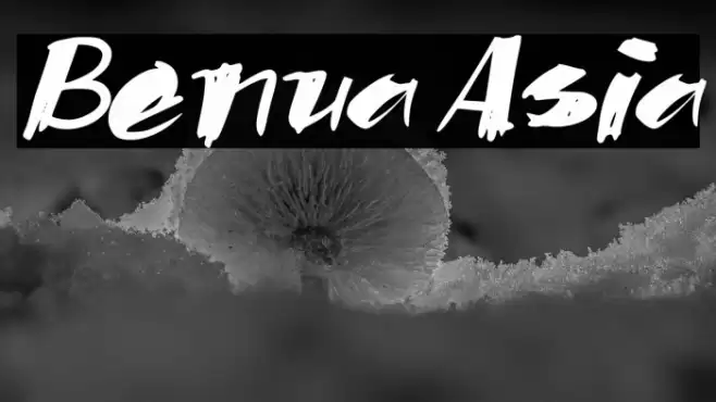Benua Asia Font | Free Download (TTF/OTF) | FFonts.net