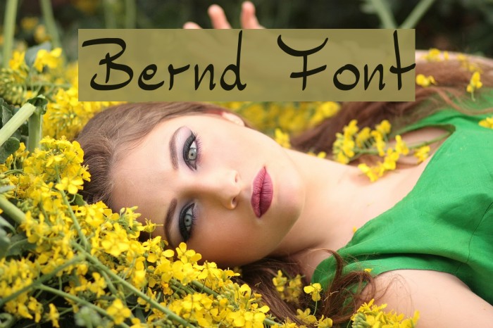 Bernd Font - FFonts.net