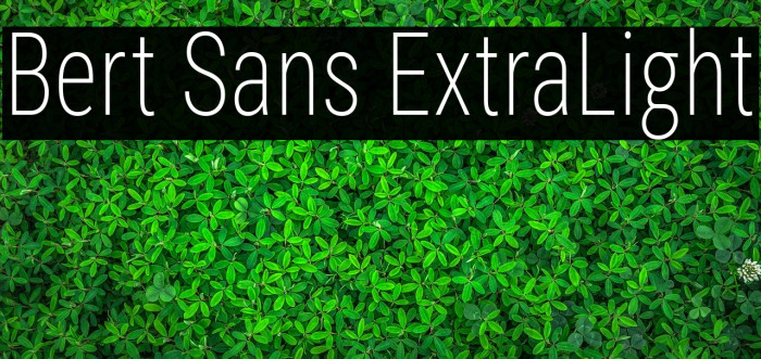 Bert Sans ExtraLight Font - FFonts.net