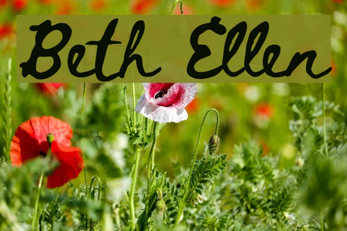 Beth Ellen Font - FFonts.net