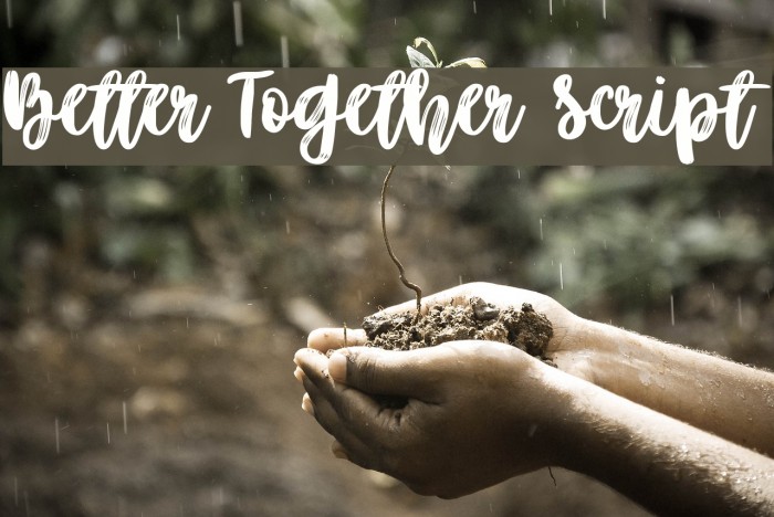 Better Together Script Font - FFonts.net