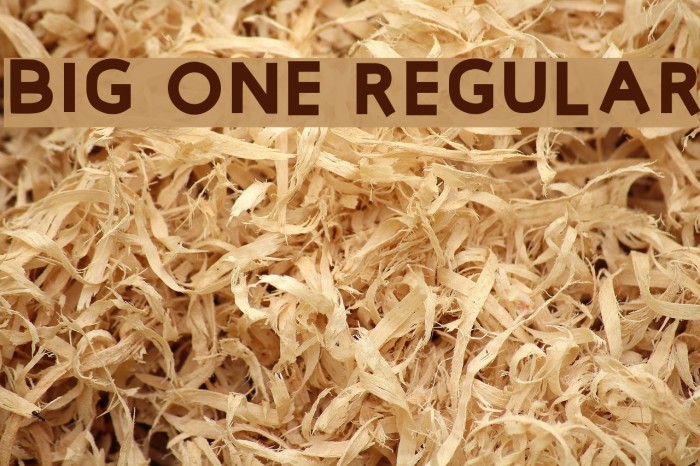 Big One Regular Font - FFonts.net