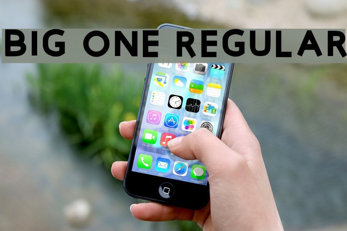 Big One Regular Font - FFonts.net