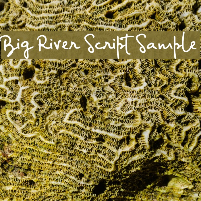 Big River Script Sample Font - FFonts.net