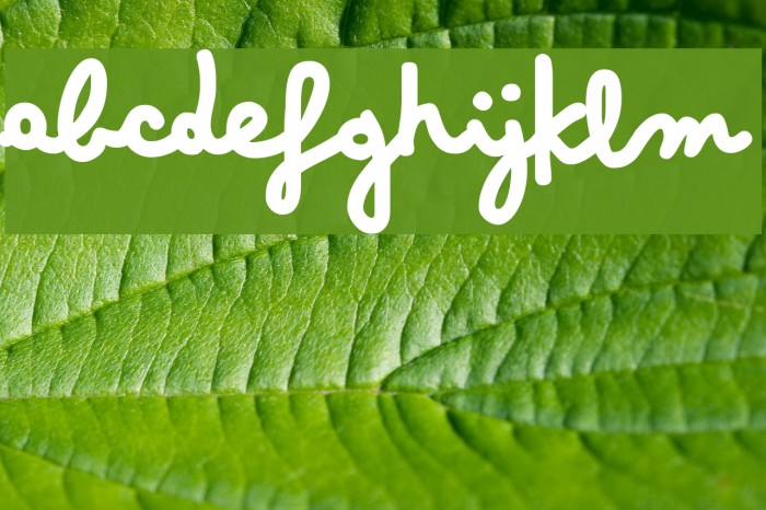 Bimbo Jumbo Font - FFonts.net