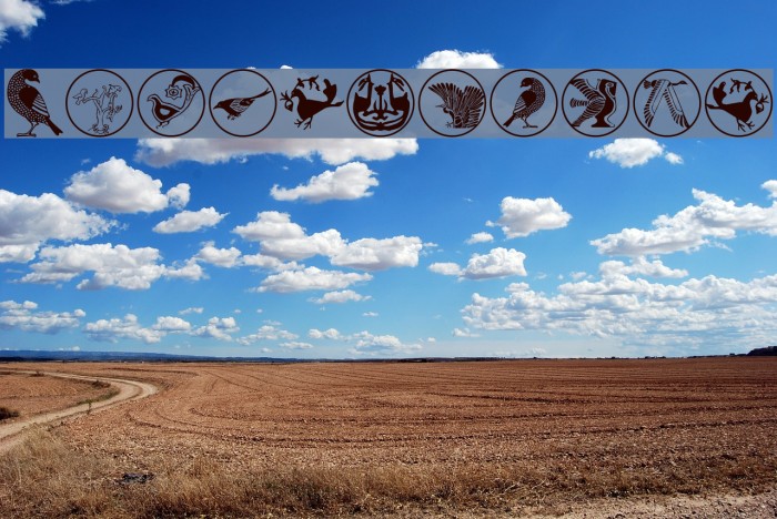 BirdSymbols Font - FFonts.net