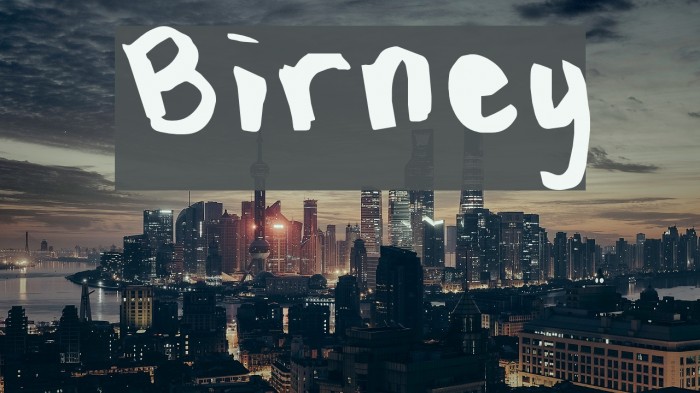 Birney Font - FFonts.net