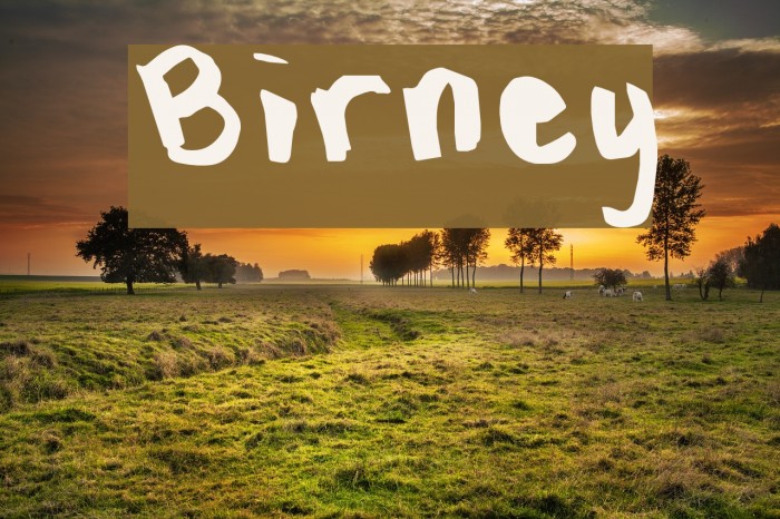 Birney Font - FFonts.net