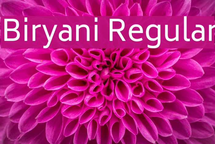 Biryani Regular Font - FFonts.net