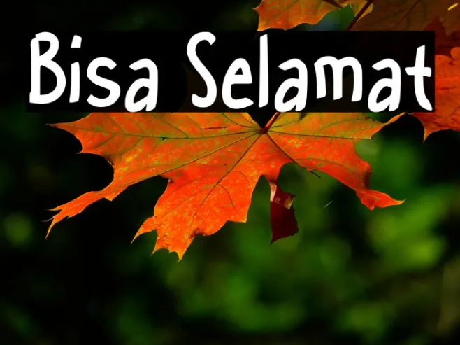 Bisa Selamat Font | Free Download (TTF/OTF) | FFonts.net