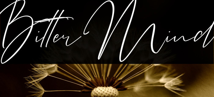 Bitter Mind Font - FFonts.net