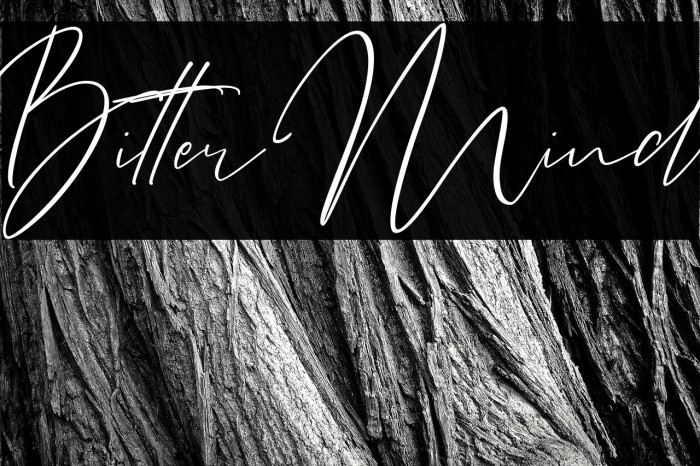 Bitter Mind Font - FFonts.net