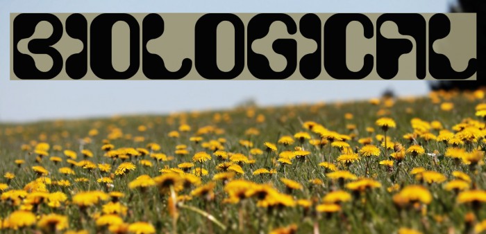 biological Font - FFonts.net