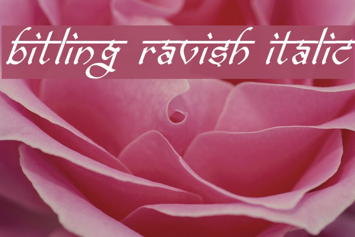 bitling ravish Italic Font - FFonts.net