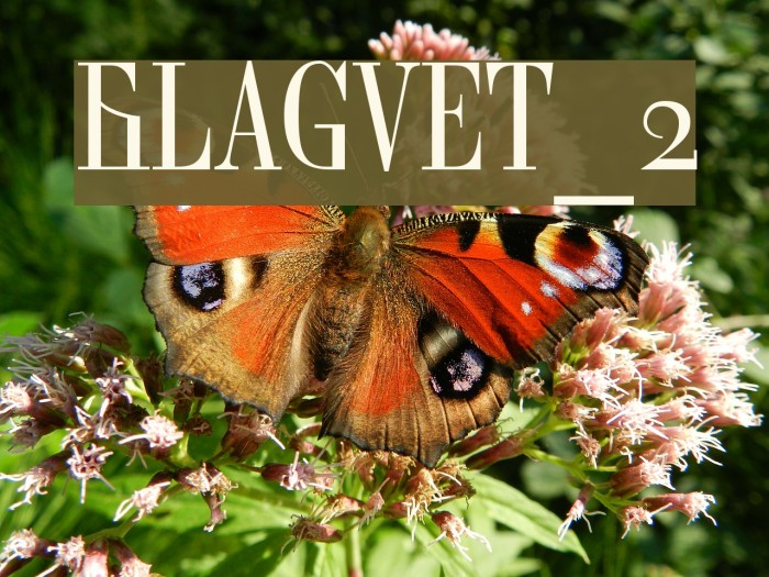 BLAGOVEST_2 Font - FFonts.net
