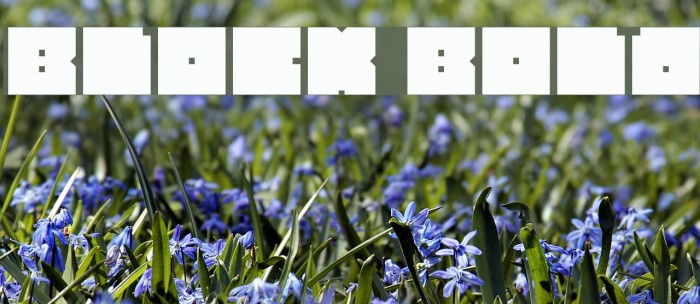 BLOCK Bold Font - FFonts.net