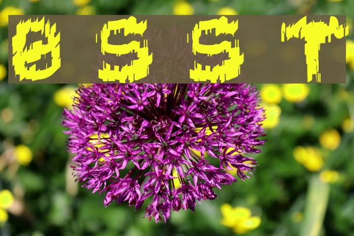 Black Shirt Slime Trail Font - FFonts.net