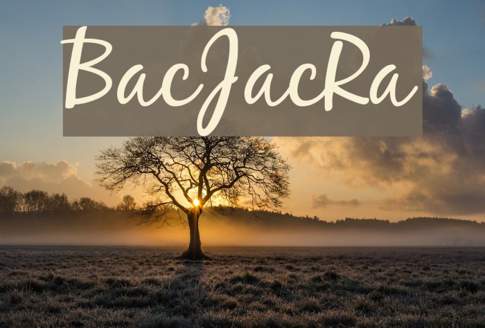 BlackJackRegular Font - FFonts.net