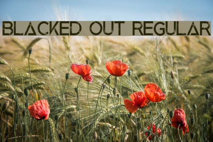 Blacked Out Regular Font - FFonts.net