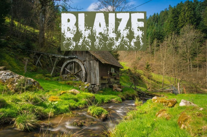 Blaize Font - FFonts.net