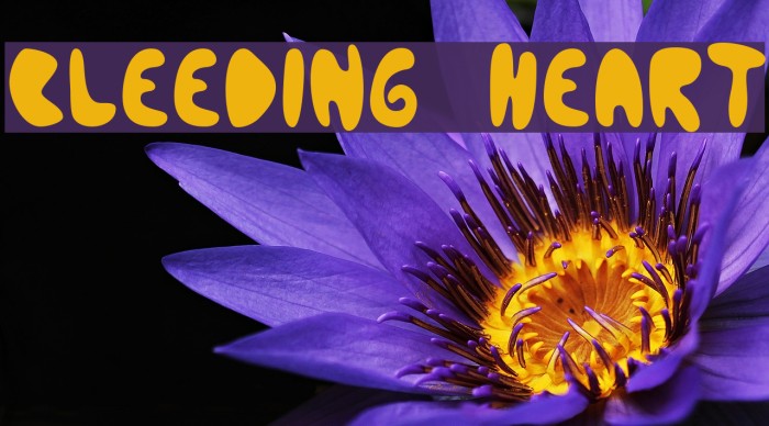 Bleeding Heart Font - FFonts.net