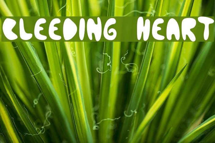 Bleeding Heart Font - FFonts.net