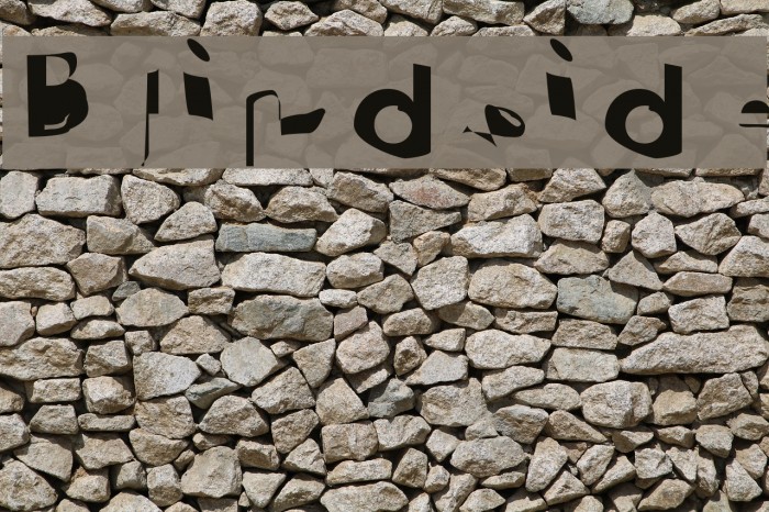 Blindside Font - FFonts.net