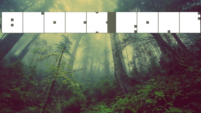 Block Font - FFonts.net