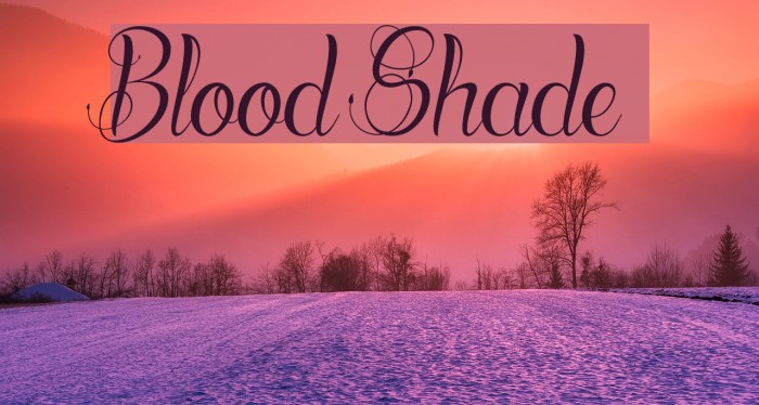Blood Shade Font - FFonts.net