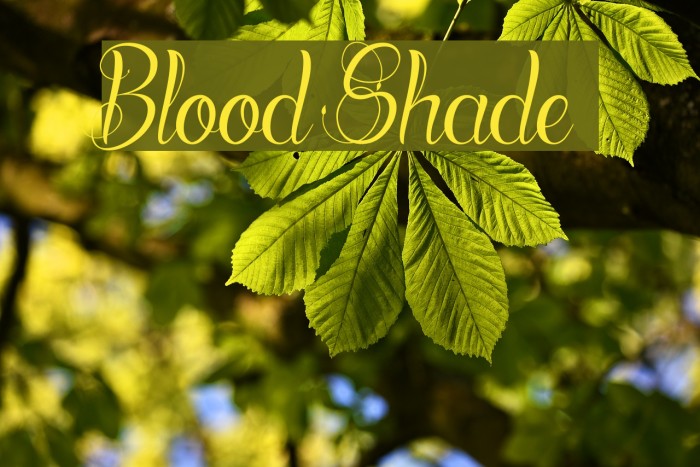 Blood Shade Font - FFonts.net
