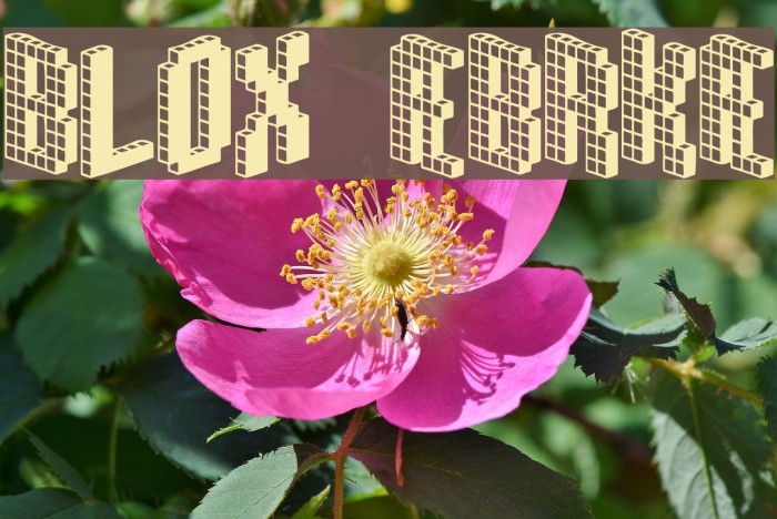 Blox [BRK] Font - FFonts.net