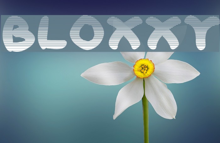 Bloxxy Font - FFonts.net