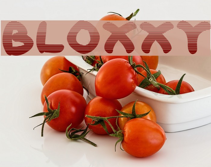 Bloxxy Font - FFonts.net