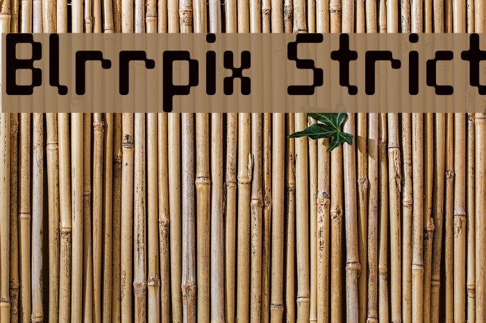 Blrrpix Strict Font - FFonts.net