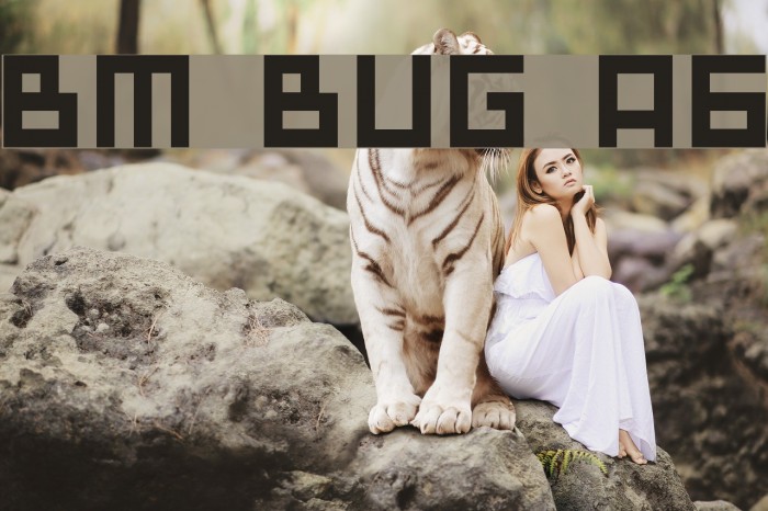 BM bug A6 Font - FFonts.net