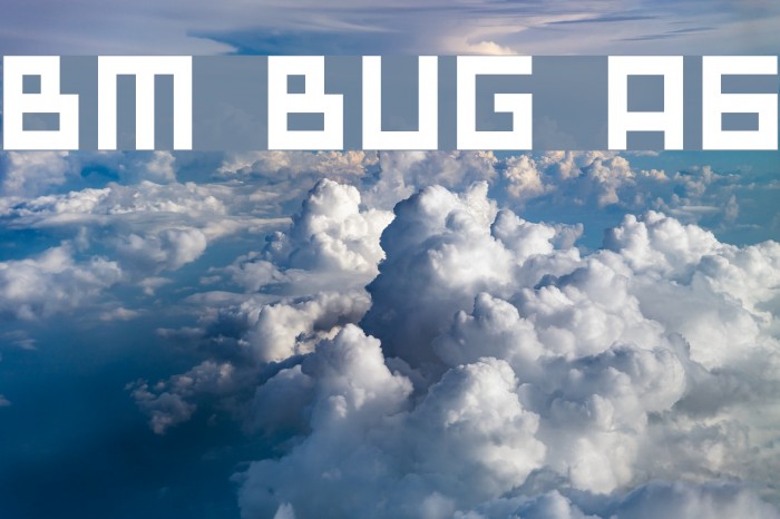 BM bug A6 Font - FFonts.net
