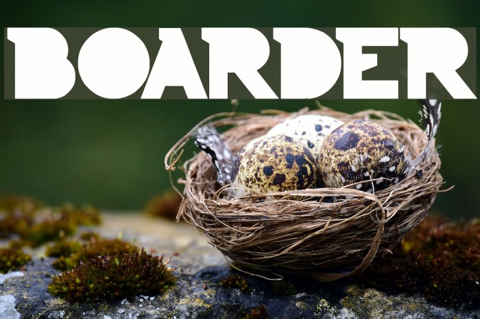 BOARDER Font - FFonts.net