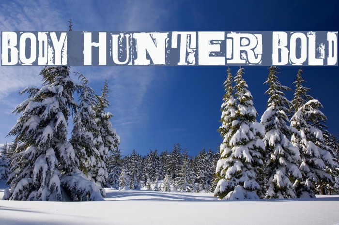 BODY HUNTER Bold Font - FFonts.net
