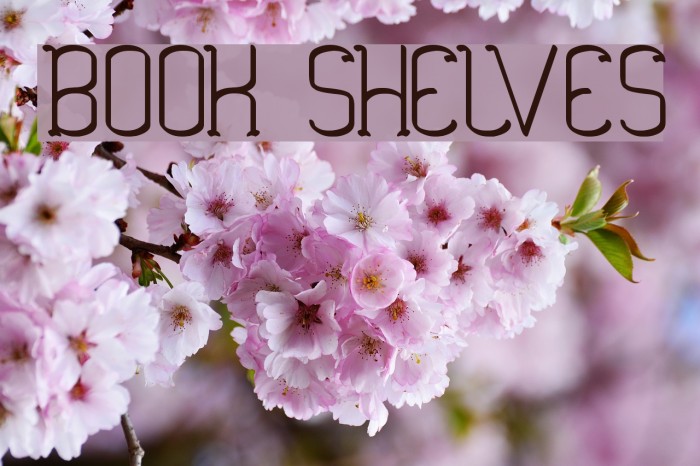 BOOK SHELVES Font - FFonts.net