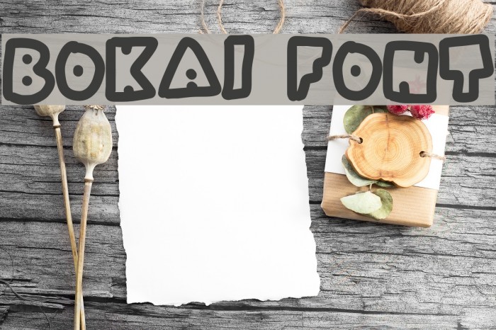 Bokai Font - FFonts.net