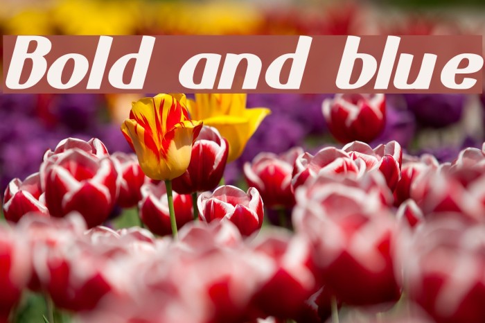 Bold and blue Font - FFonts.net